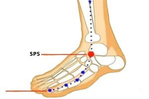 ShangQiu Acupoint:Spleen 5 or SP 5 Acupuncture Points - PeakMassager