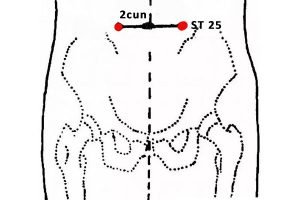 Tianshu Acupoint:ST 25 Acupressure Point Or Stomach 25 - PeakMassager