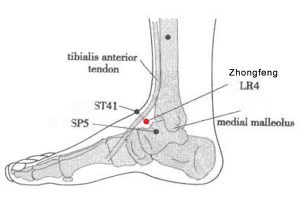 ZhongFeng Acupoint:LR 4 Acupuncture Point or Liver 4 - PeakMassager