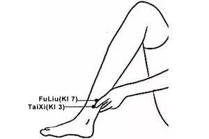 Leg AcuPressure Points: 50+ Pressure Points in Leg - PeakMassager