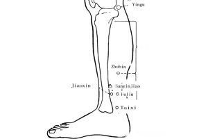 Leg AcuPressure Points: 50+ Pressure Points in Leg - PeakMassager