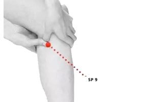 Yinlingquan Acupoint:SP 9 Acupuncture Point or Spleen 9 - PeakMassager
