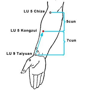 Lung Meridian of hand-Taiyin Acupuncture Point & Location - PeakMassager
