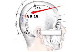 Gallbladder Meridian of Foot Acupuncture Point & Location - PeakMassager
