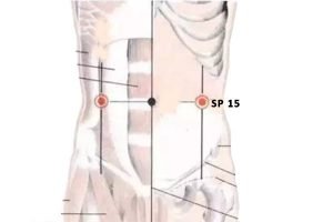 SP 15 Acupuncture Point(Daheng) Or Spleen 15 - PeakMassager