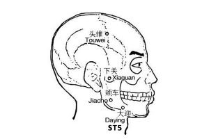 Stomach Meridian of Foot-Yangming:45 Acupuncture Points & Location ...