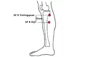 Leg AcuPressure Points: 50+ Pressure Points in Leg - PeakMassager