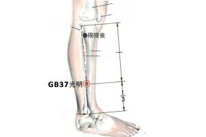GB 37 Acupuncture Point(Guangming) or Gallbladder 37 - PeakMassager