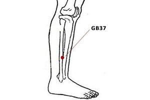 GB 37 Acupuncture Point(Guangming) or Gallbladder 37 - PeakMassager