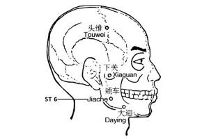 ST 6 Acupuncture Point(Jiache) or Stomach 6 - PeakMassager