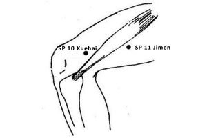 Leg AcuPressure Points: 50+ Pressure Points in Leg - PeakMassager