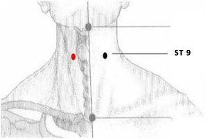 ST 9 Acupuncture Point(Renying) or Stomach 9 - PeakMassager
