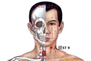 ST 9 Acupuncture Point(Renying) or Stomach 9 - PeakMassager