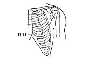 ST 18 Acupuncture Point(Rugen) or Stomach 18 - PeakMassager