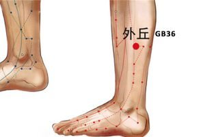 GB 36 Acupuncture Point(Waiqiu) or Gallbladder 36 - PeakMassager