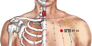 ST 15 Acupuncture Point(Wuyi) or Stomach 15 - PeakMassager
