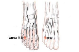 Gallbladder Meridian of Foot Acupuncture Point & Location - PeakMassager