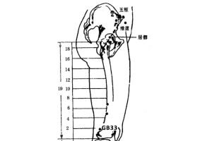 Leg AcuPressure Points: 50+ Pressure Points in Leg - PeakMassager