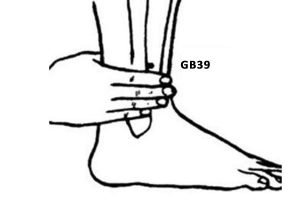 Leg AcuPressure Points: 50+ Pressure Points in Leg - PeakMassager