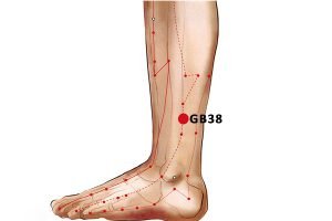 GB 38 Acupuncture Point(YangFu) or Gallbladder 38 - PeakMassager