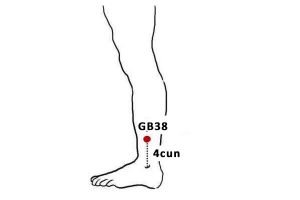 Gallbladder Meridian of Foot Acupuncture Point & Location - PeakMassager