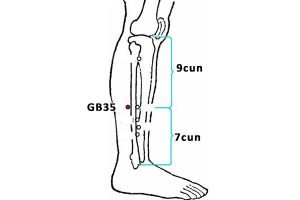 Leg AcuPressure Points: 50+ Pressure Points in Leg - PeakMassager