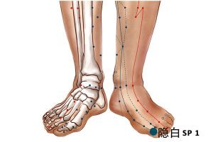 Yinbai Acupoint:SP 1 Acupuncture Point Or Spleen 1 - PeakMassager