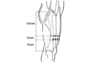 Gallbladder Meridian of Foot Acupuncture Point & Location - PeakMassager