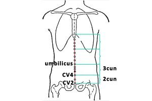 CV 4 Acupuncture Point(Guan Yuan) or Ren 4 - PeakMassager
