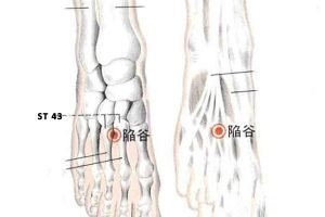 ST 43 Acupuncture Point(Xiangu) or Stomach 43 - PeakMassager