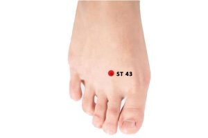 Leg AcuPressure Points: 50+ Pressure Points in Leg - PeakMassager